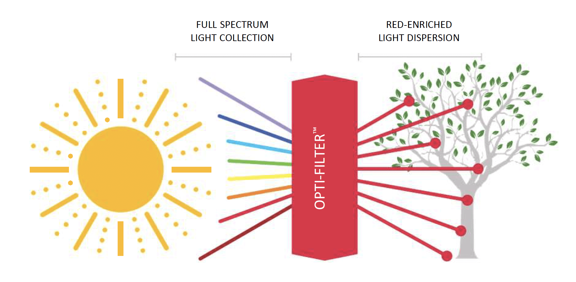 Unlock Your Vines Potential with Opti-Filter Technology | Opti-Harvest