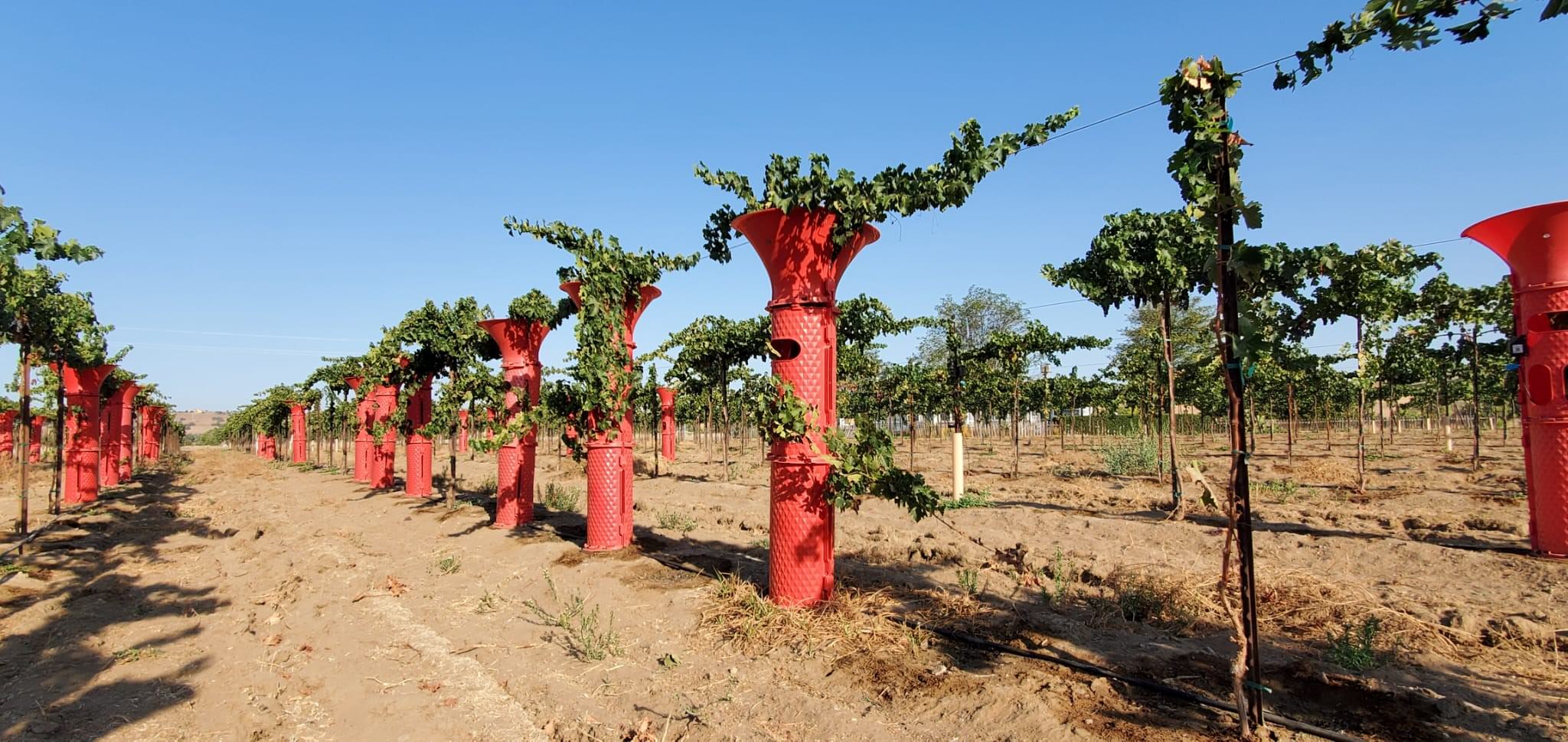 Opti-Gro - Opti-Harvest