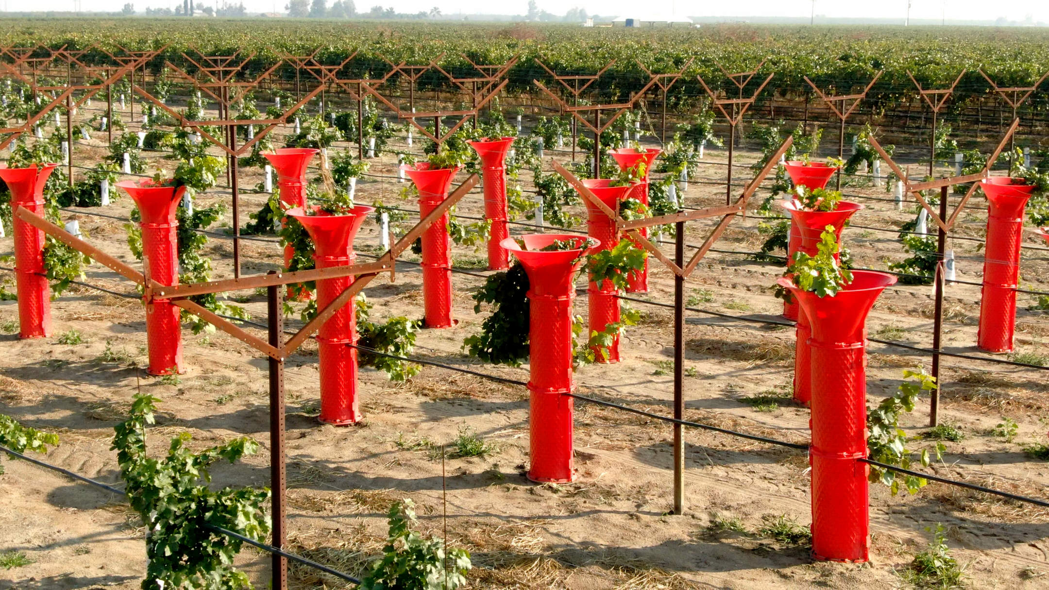 Opti-Gro - Opti-Harvest