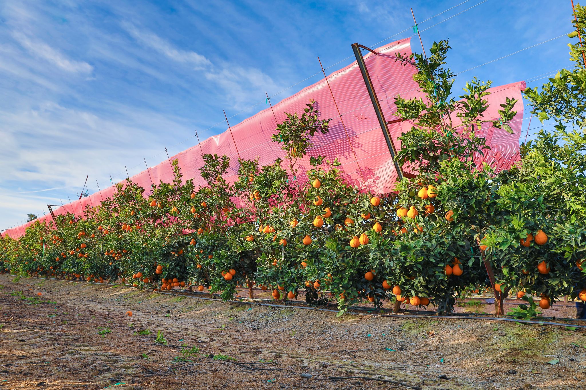 Products - Opti-Harvest